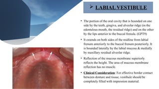 anatomic landmarks of the maxilla and mandible | PPTX | Ear, Nose and ...