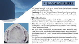 anatomic landmarks of the maxilla and mandible | PPTX | Ear, Nose and ...
