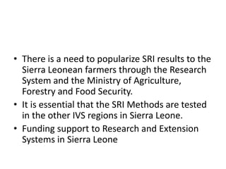 12100-Experiences of the System of Rice Intensification in Sierra Leone ...