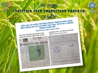 Sri technology rice | PDF