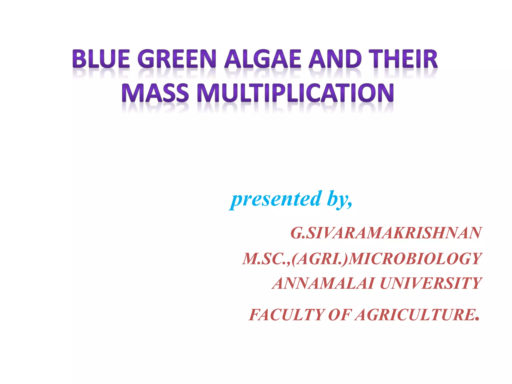 SRK-Blue green algae and their mass multiplication | PPTX