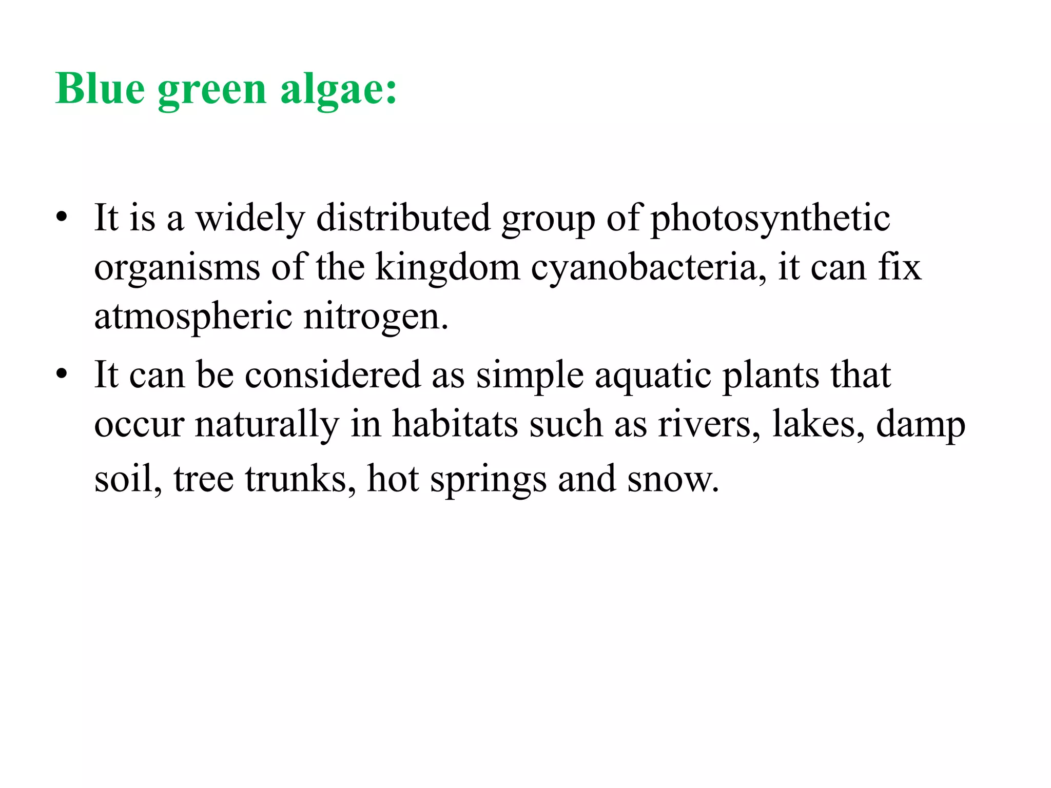 SRK-Blue green algae and their mass multiplication | PPTX