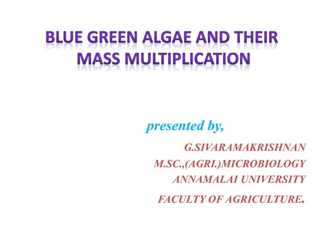 SRK-Blue green algae and their mass multiplication | PPTX | Gardening ...