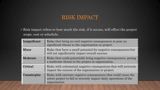 Risk Assessment and Risk Assessment Matrix Presentation | PPTX