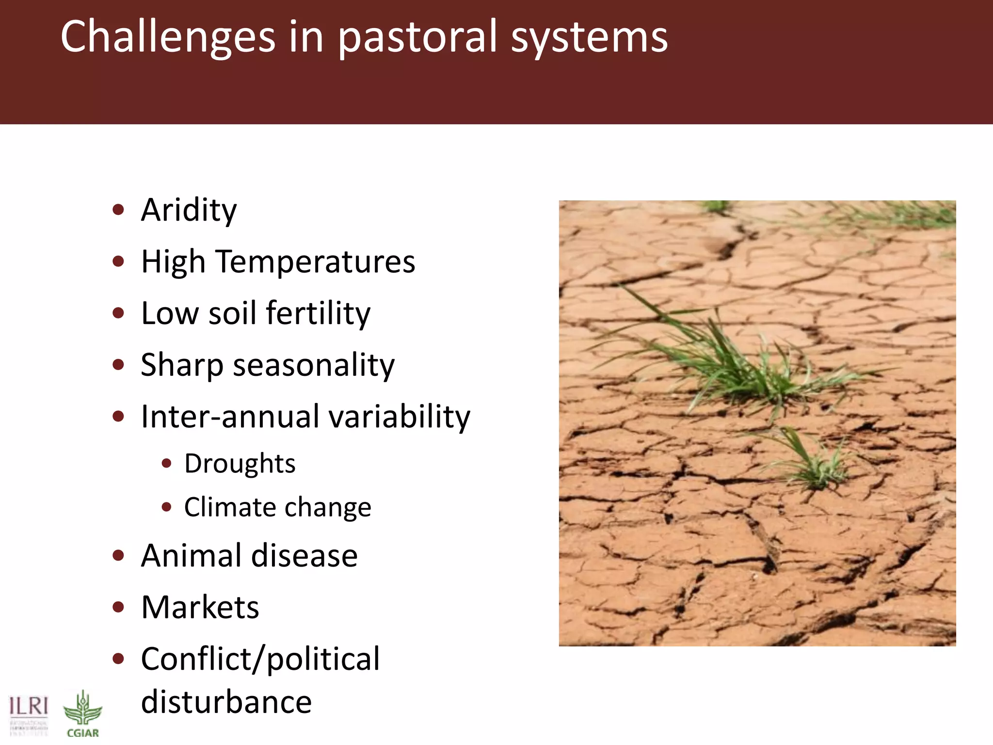 Pastoralism: From vulnerability to resilience | PDF