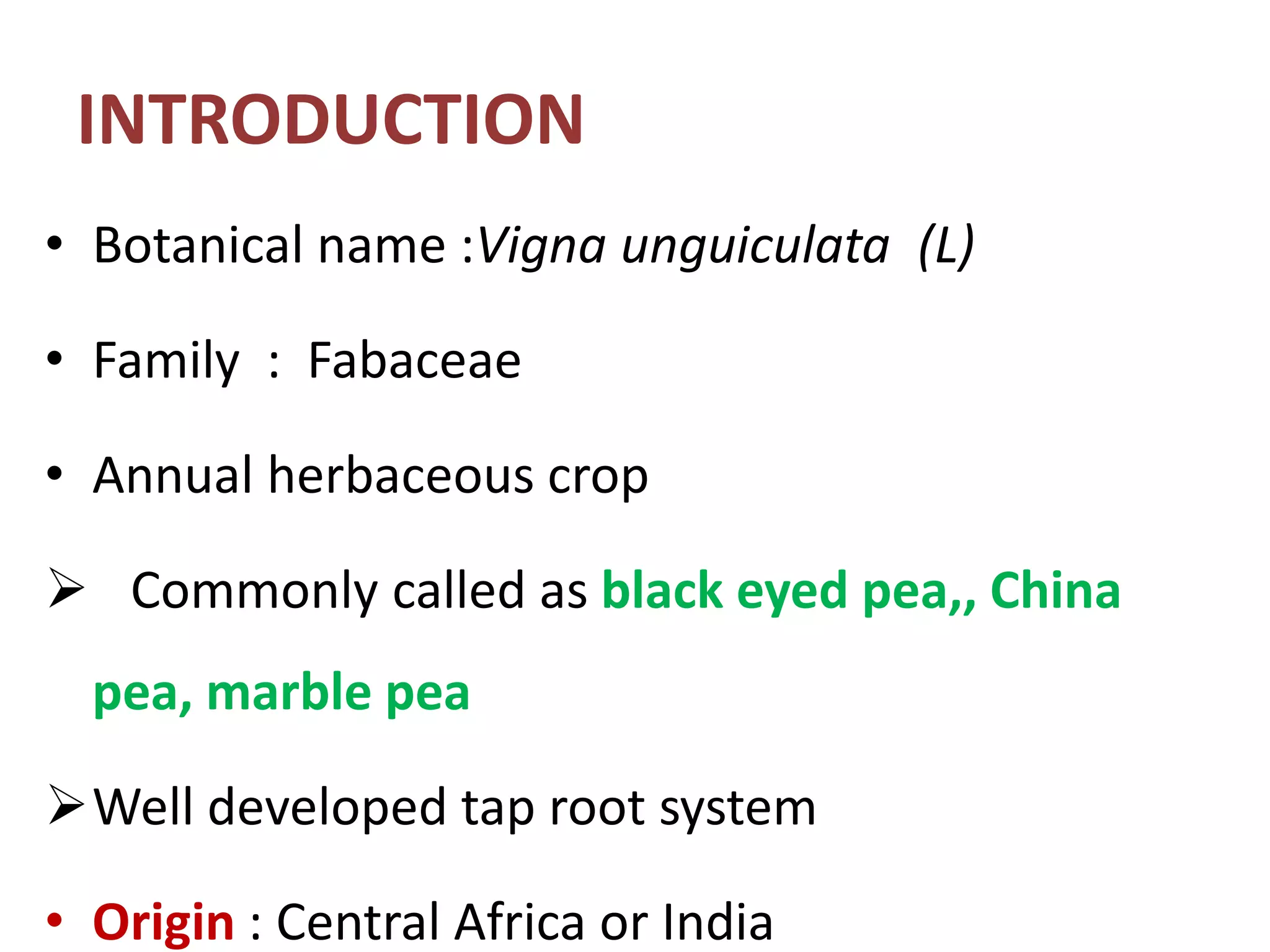 COWPEA | PPTX