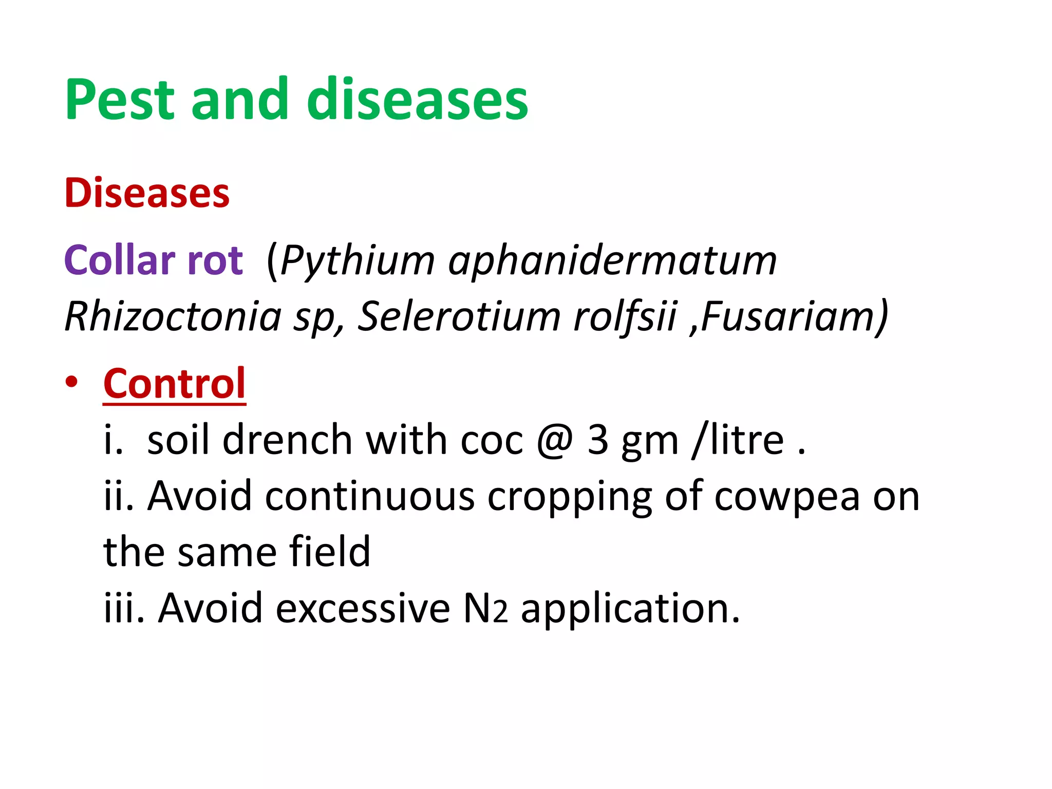 COWPEA | PPTX