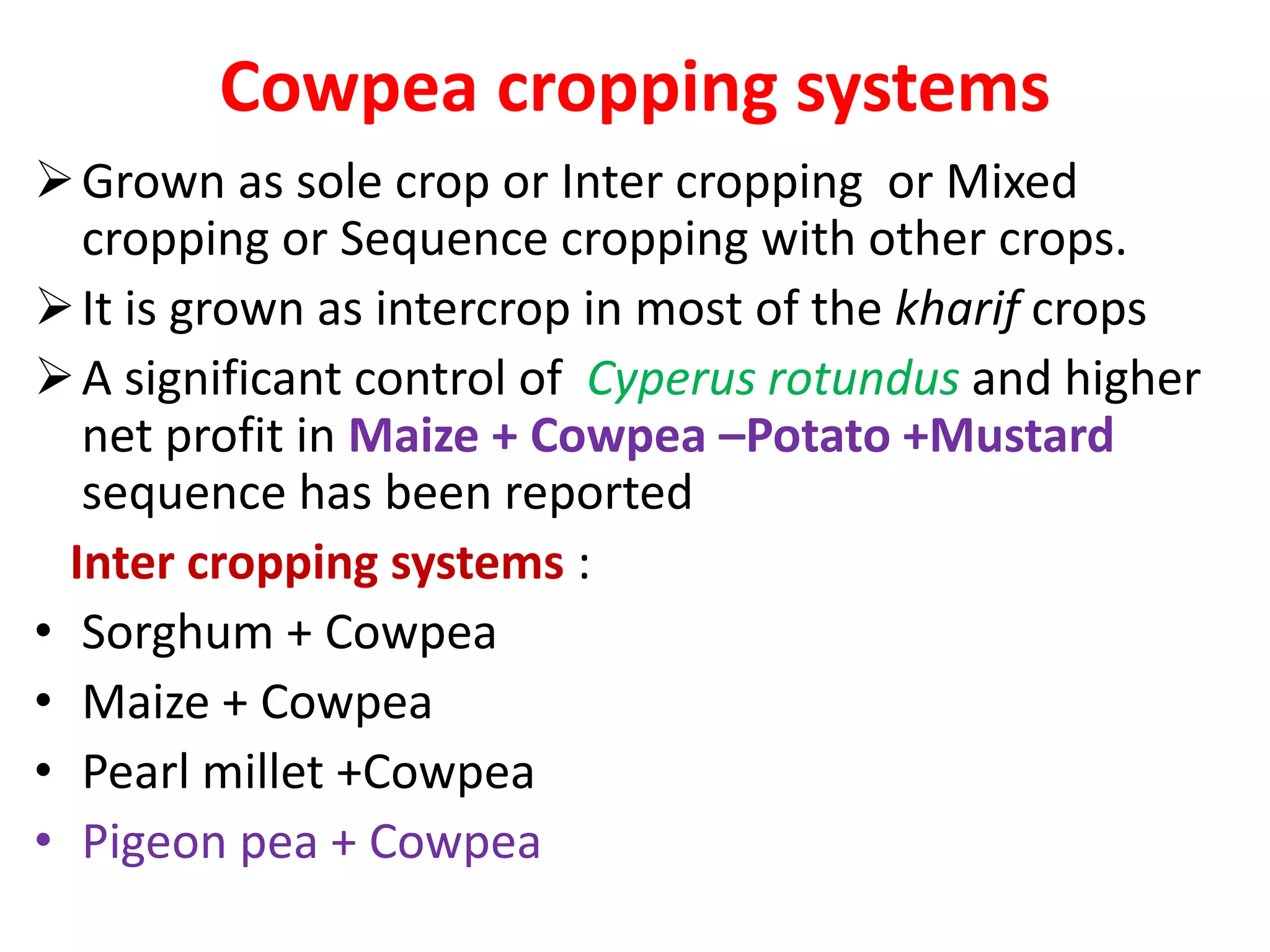 COWPEA | PPTX