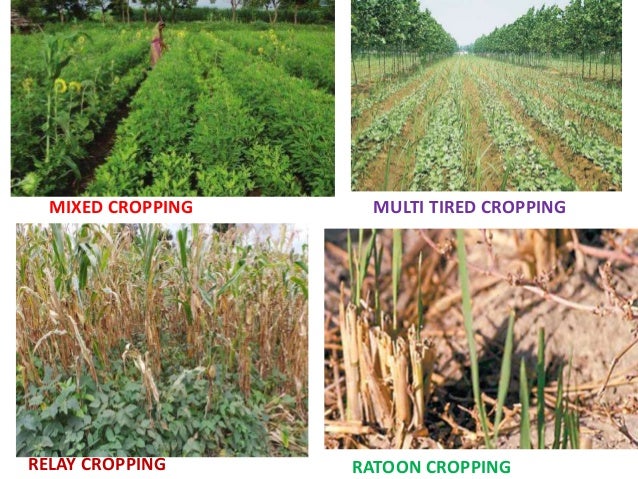 CROPPING SYSTEMS UNDER DRYLANDS IN INDIA