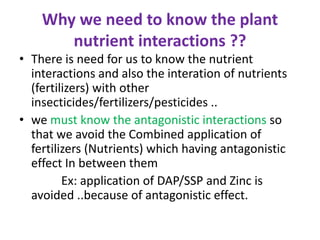 NUTRIENT INTERACTIONS SHRAVAN REDDY | PPTX