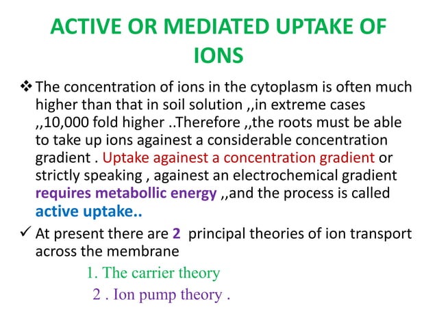 MECHANISMS OF NUTRIENT UPTAKE FROM SOIL | PPTX | Agriculture | Industries