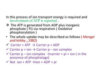 MECHANISMS OF NUTRIENT UPTAKE FROM SOIL | PPTX