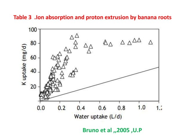 MECHANISMS OF NUTRIENT UPTAKE FROM SOIL | PPTX | Agriculture | Industries