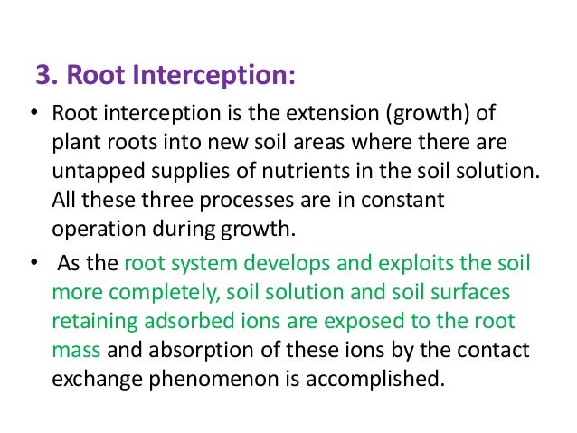 MECHANISMS OF NUTRIENT UPTAKE FROM SOIL