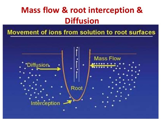 MECHANISMS OF NUTRIENT UPTAKE FROM SOIL