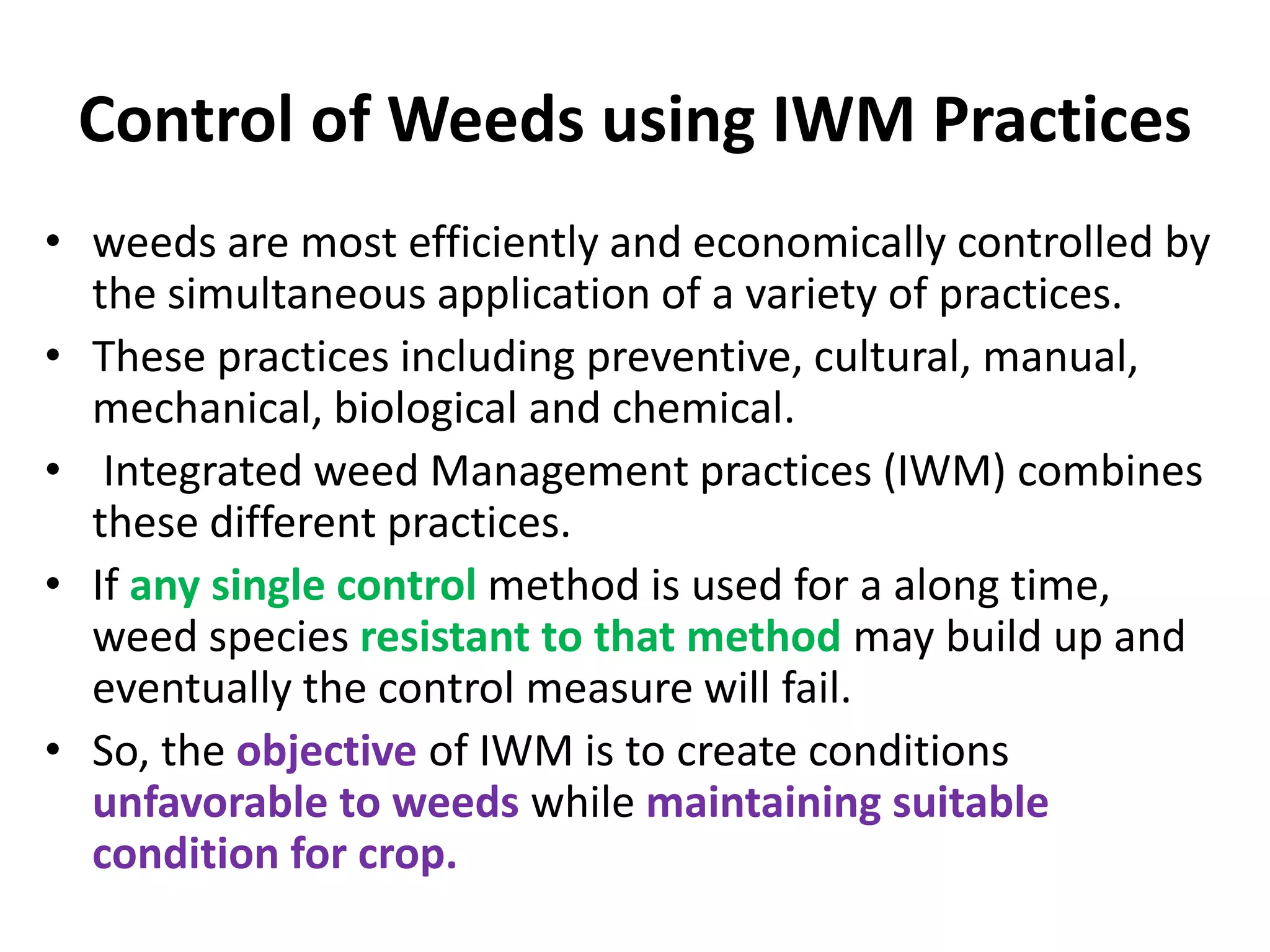 WEED MANAGEMENT IN TRANSPLANTED RICE | PPTX