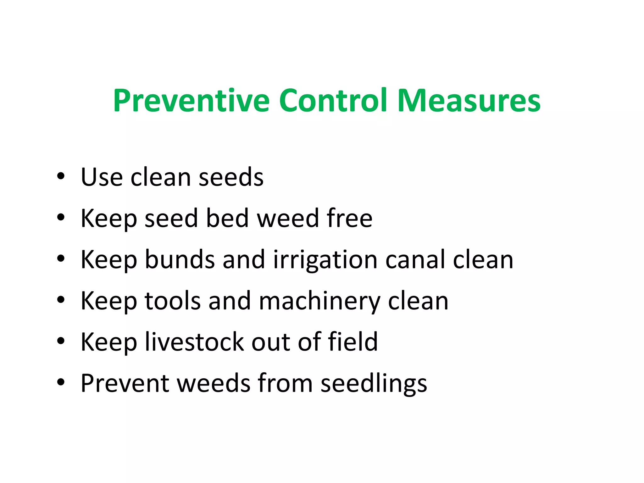 WEED MANAGEMENT IN TRANSPLANTED RICE | PPTX