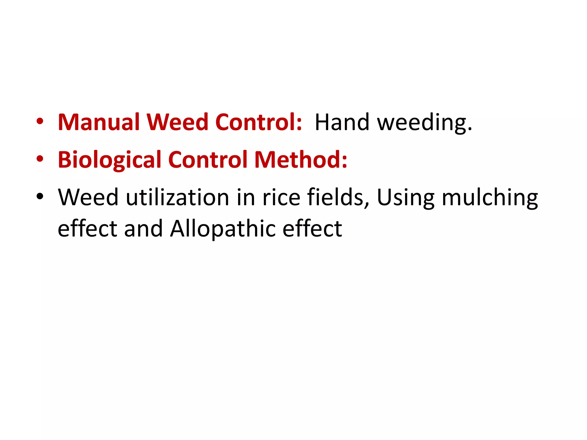 WEED MANAGEMENT IN TRANSPLANTED RICE | PPTX
