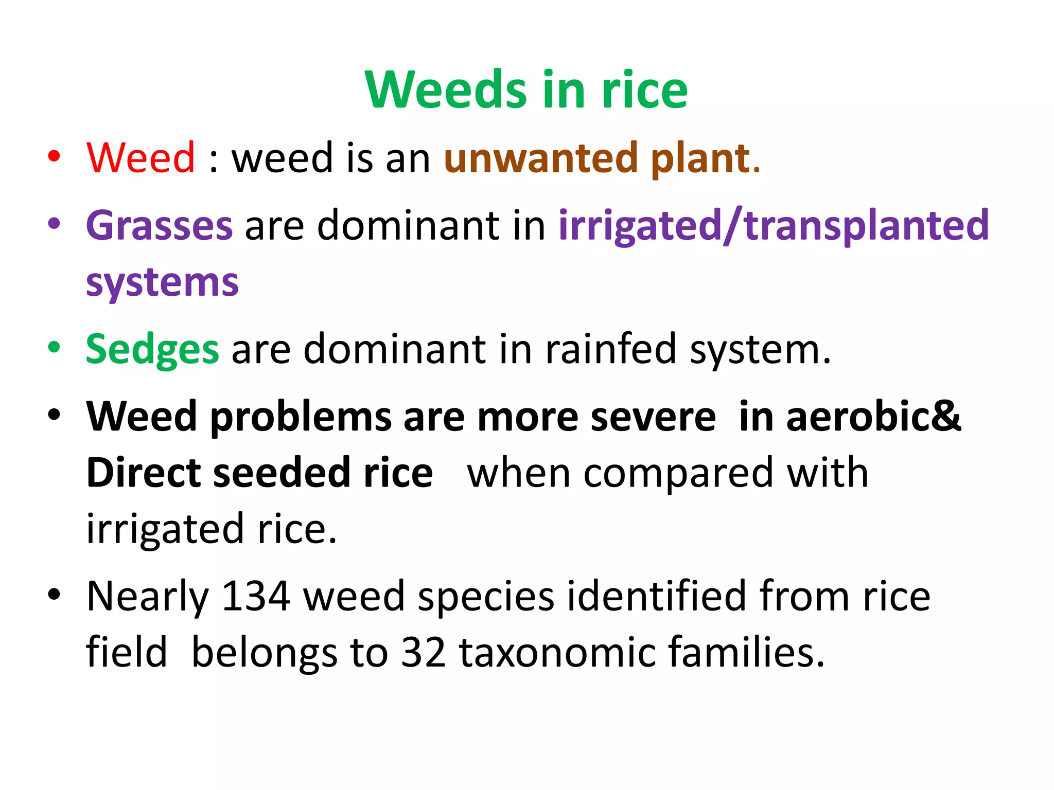 WEED MANAGEMENT IN TRANSPLANTED RICE | PPTX