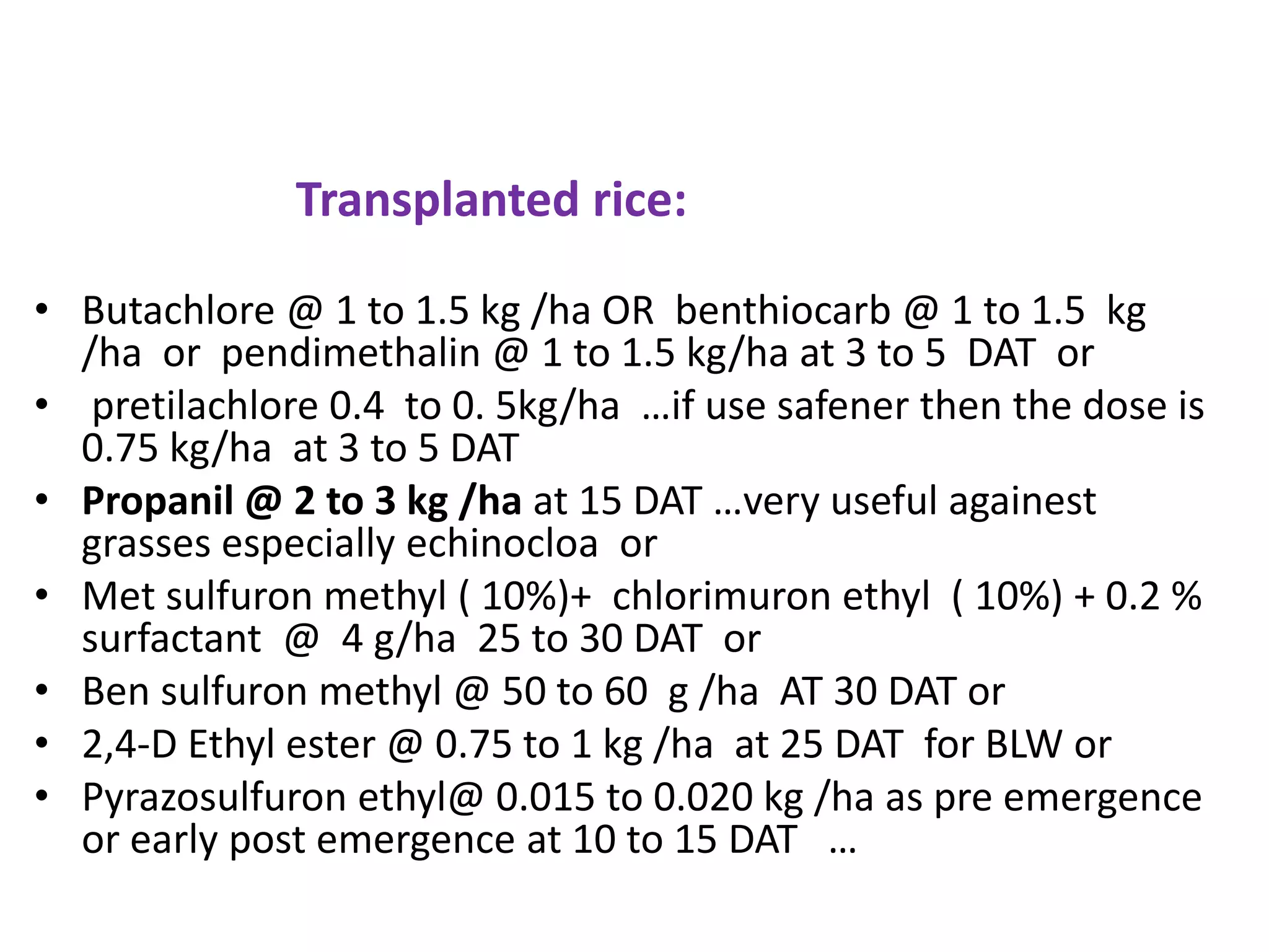 WEED MANAGEMENT IN TRANSPLANTED RICE | PPTX