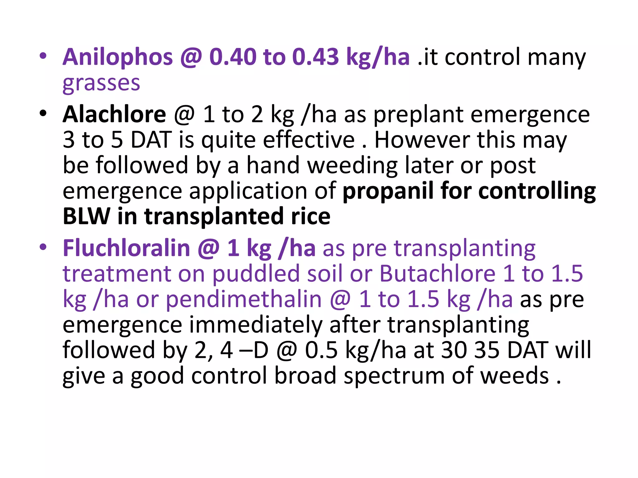 WEED MANAGEMENT IN TRANSPLANTED RICE | PPTX