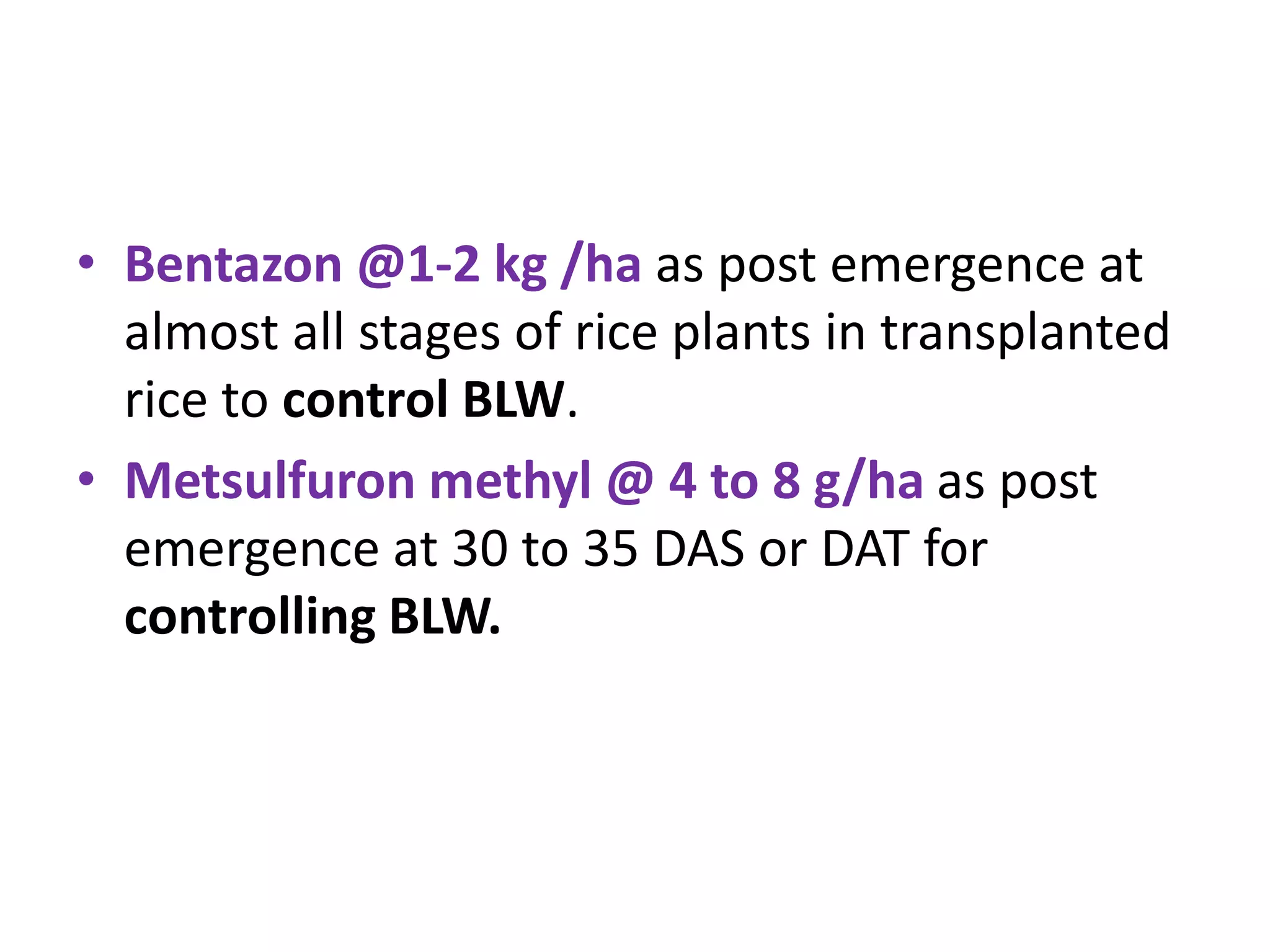 WEED MANAGEMENT IN TRANSPLANTED RICE | PPTX