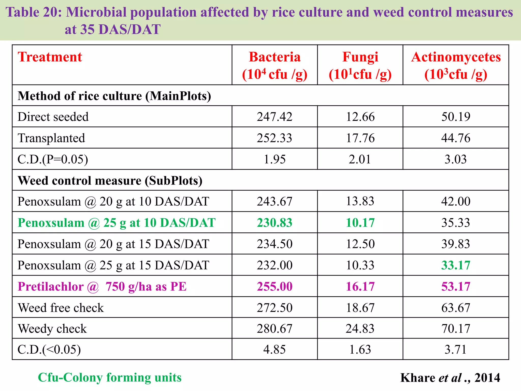 WEED MANAGEMENT IN TRANSPLANTED RICE | PPTX