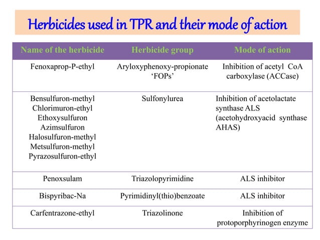 WEED MANAGEMENT IN TRANSPLANTED RICE | PPTX
