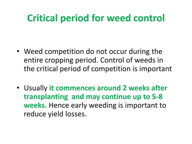 WEED MANAGEMENT IN TRANSPLANTED RICE | PPTX