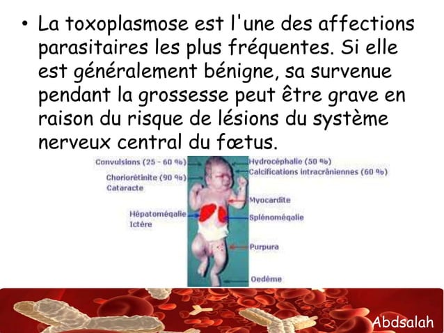 Risque De Toxoplasmose _ Tout Savoir Sur La Toxoplasmose – ATEEP