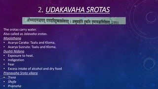 Srotas.pptx Everything about srotas in short. | PPTX