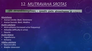 Srotas.pptx Everything about srotas in short. | PPTX