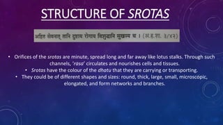 Srotas.pptx Everything about srotas in short. | PPTX