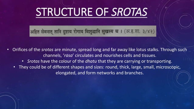 Srotas.pptx Everything about srotas in short. | PPTX