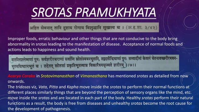 Srotas.pptx Everything about srotas in short. | PPT