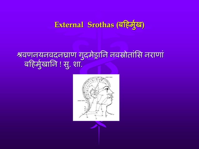 Srothas | PDF