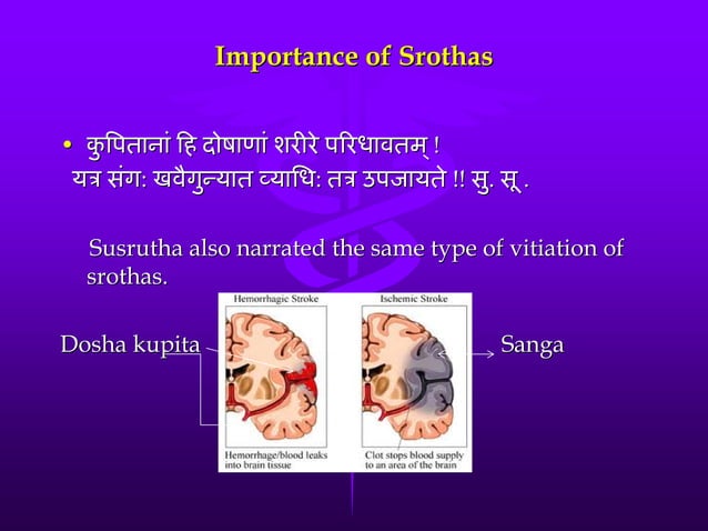 Srothas | PDF