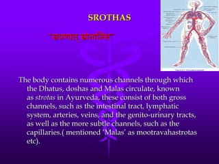 Srothas | PDF