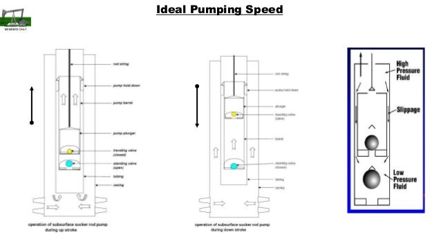 Sucker Rod Pump (SRP)