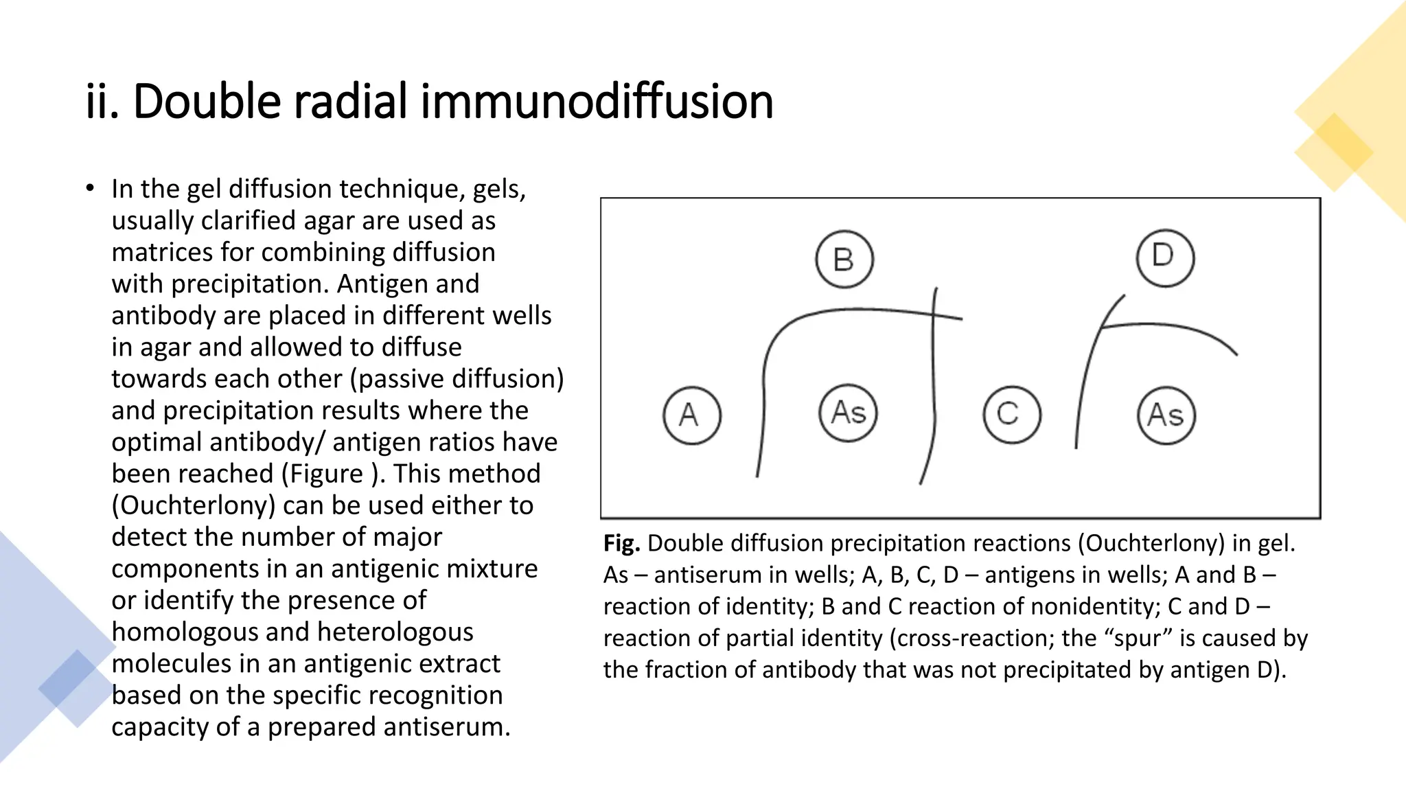 use of immunological tools in fish diseased diagnosis | PPTX