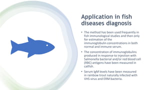 use of immunological tools in fish diseased diagnosis | PPTX