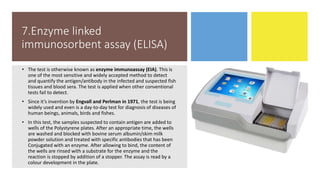 use of immunological tools in fish diseased diagnosis | PPTX