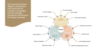 use of immunological tools in fish diseased diagnosis | PPTX
