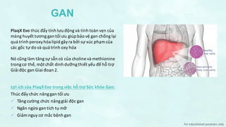 SR Plaqx dịch pdf_compressed.pdf