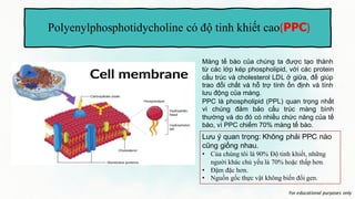 SR Plaqx dịch pdf_compressed.pdf