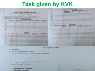 Presentation on Student READY Programme | PPTX