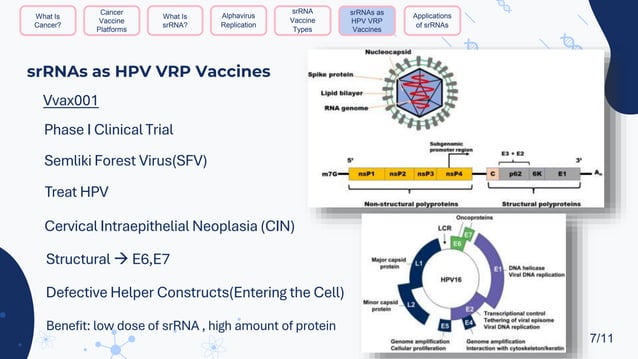 srRNA-based Cancer Vaccines.pptx