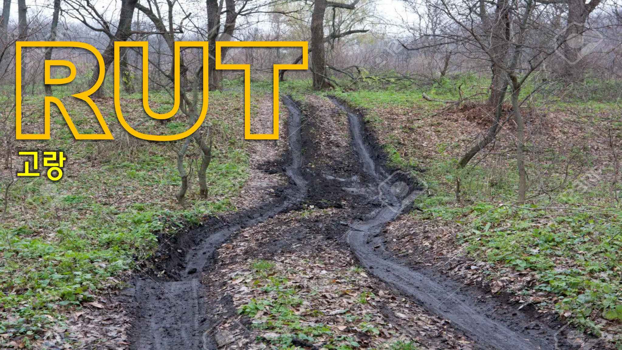 Srs syndrome stuck in a rut | PPT | Free Download