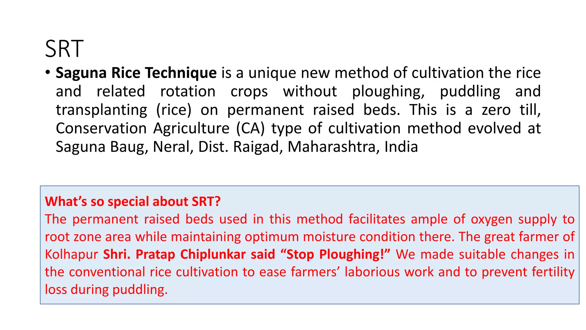Srt (saguna rice technolgy) | PPTX