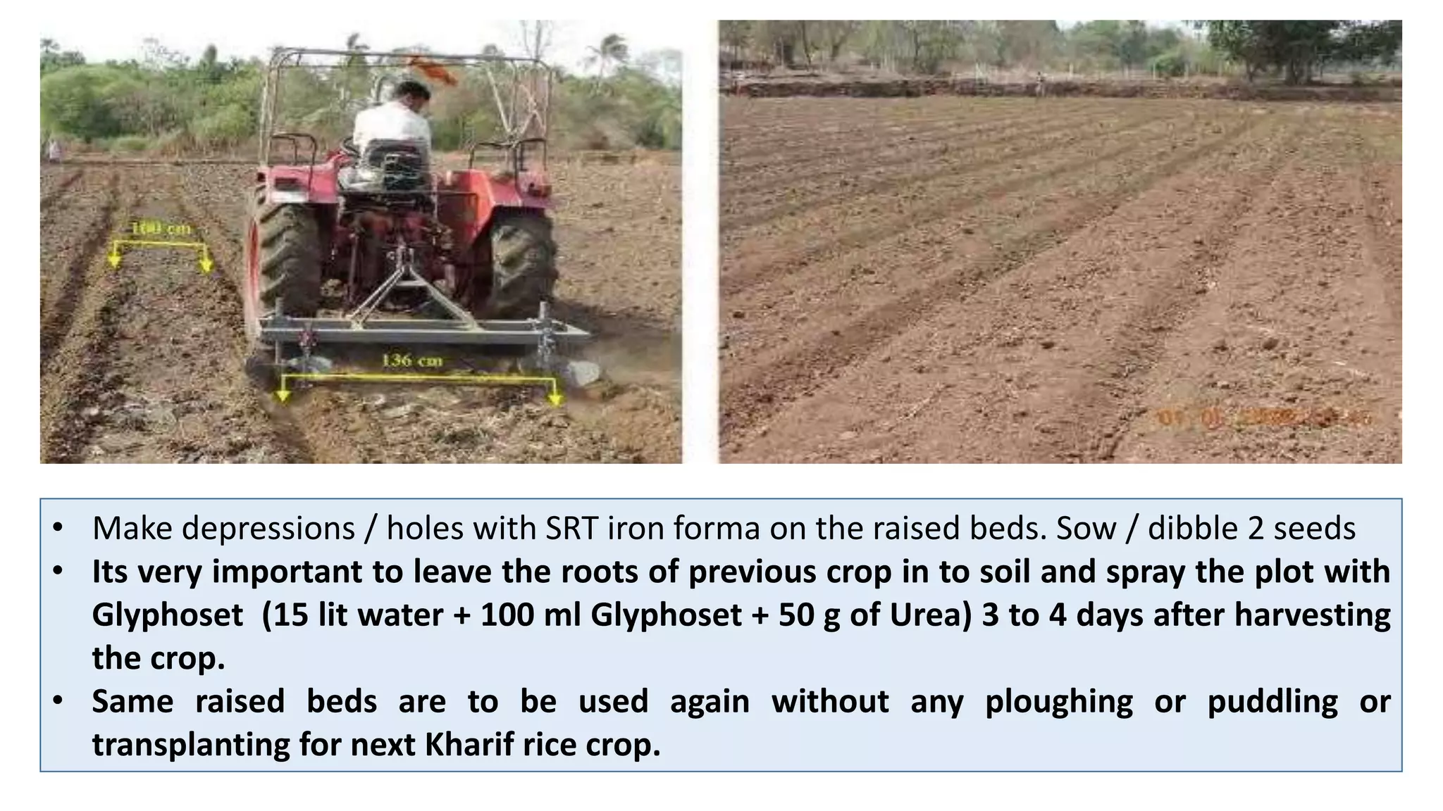 Srt (saguna rice technolgy) | PPTX
